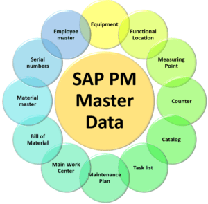 22 Pivotal Master Data in SAP PM | 17 Consulting Tips | - VaibhavERP